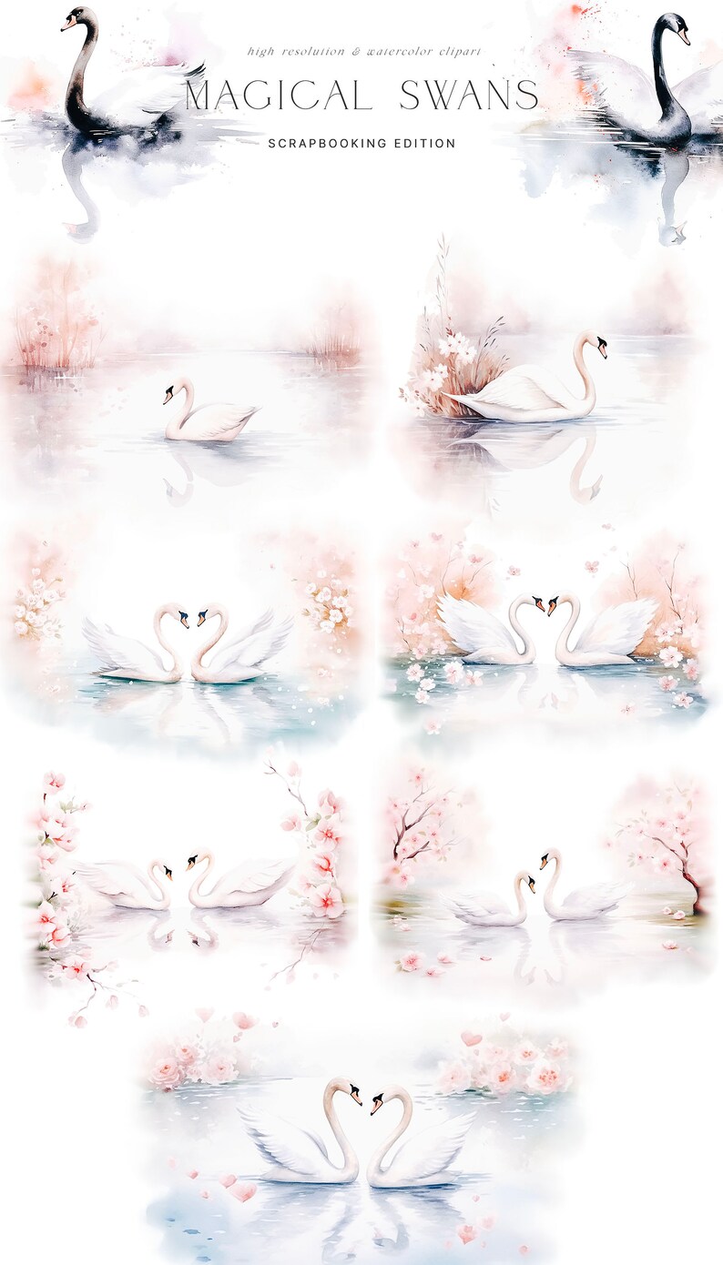 Watercolor Swans Clipart - Swans Clipart - Swans Floral Clipart ...