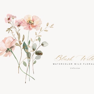Watercolor Blush Wild Flowers - Blush Field Flowers - Blush and Soft ...