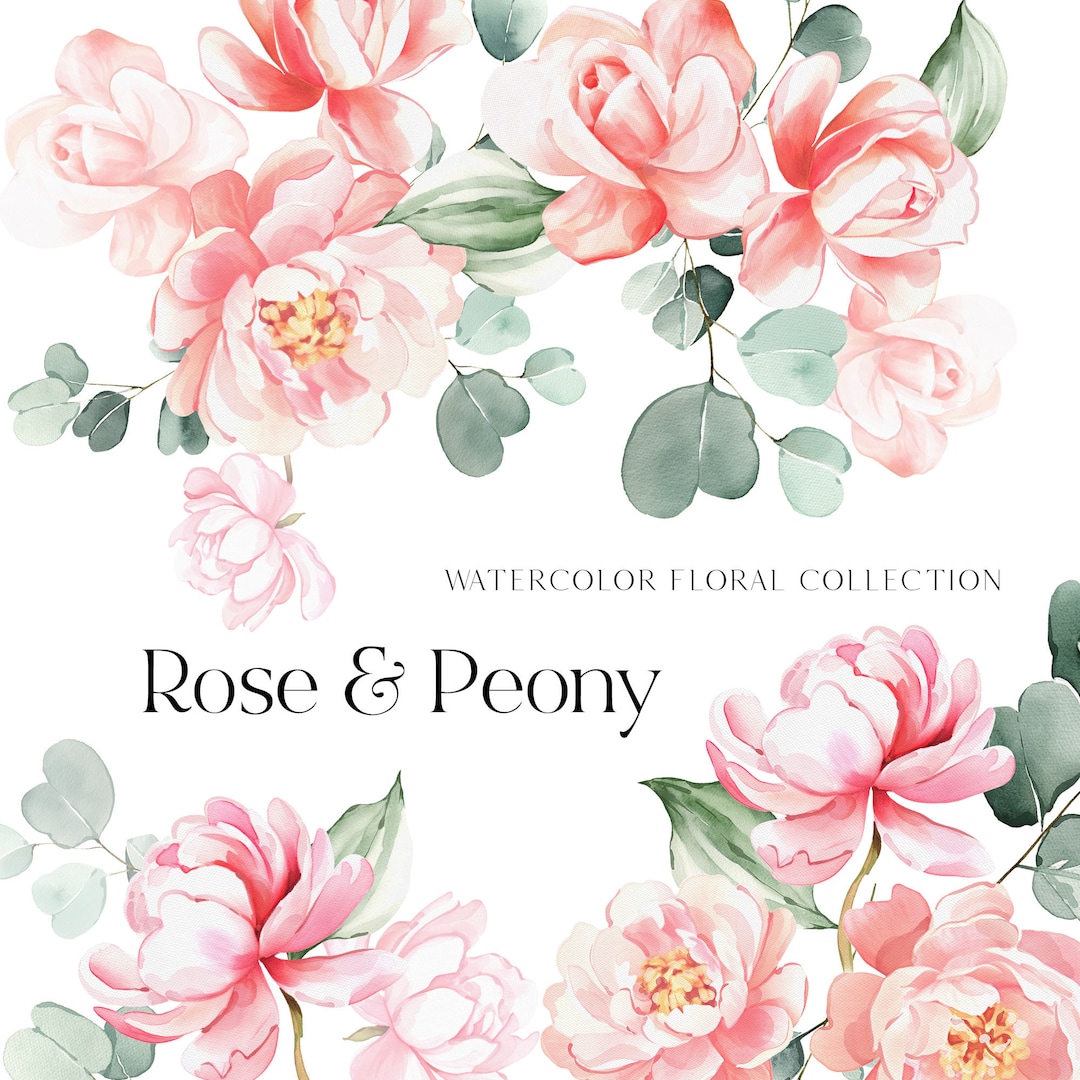Rose & Peony Clipart - Watercolor Roses - Peony Clipart - Blush Floral ...