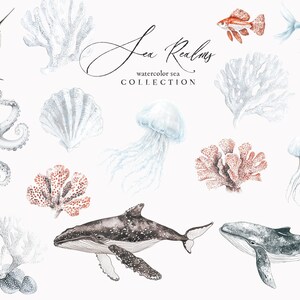 Watercolor Underwater Clipart Set - Sea Animals - Sea Creatures ...