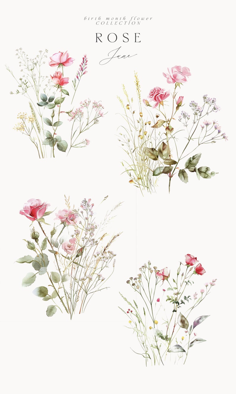 Rose June Birth Flower Clipart Set - Wild Roses - Birth Flower ...