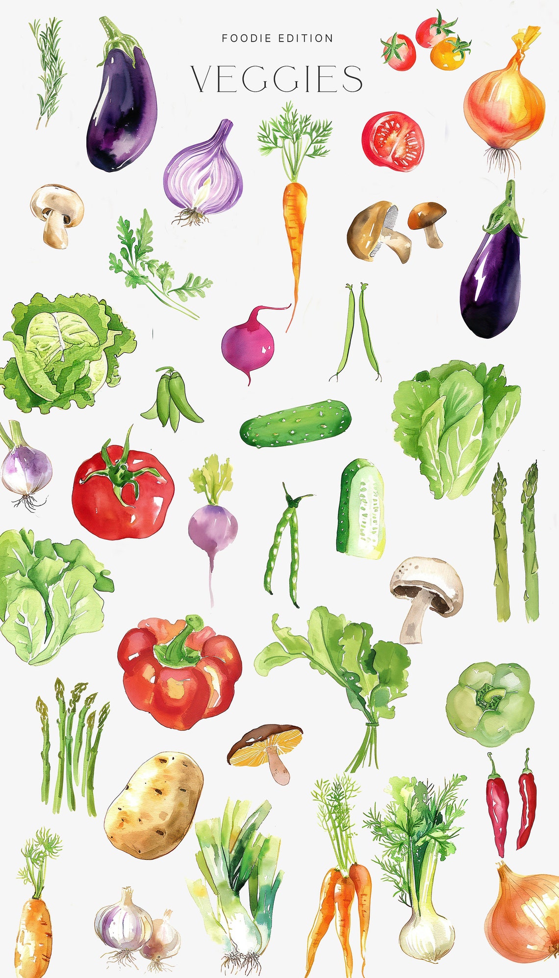 Watercolor Fresh Vegetables Clipart - Watercolor Veggies - Food Clipart ...