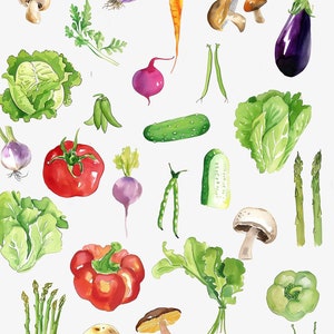 Watercolor Fresh Vegetables Clipart - Watercolor Veggies - Food Clipart ...