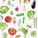 Watercolor Fresh Vegetables Clipart - Watercolor Veggies - Food Clipart ...