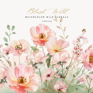 Watercolor Blush Wild Flowers - Blush Field Flowers - Blush and Soft ...