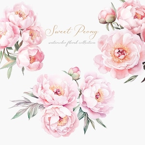 Watercolor Dusty Pink Peony Clipart - Peony Clipart - Watercolor ...