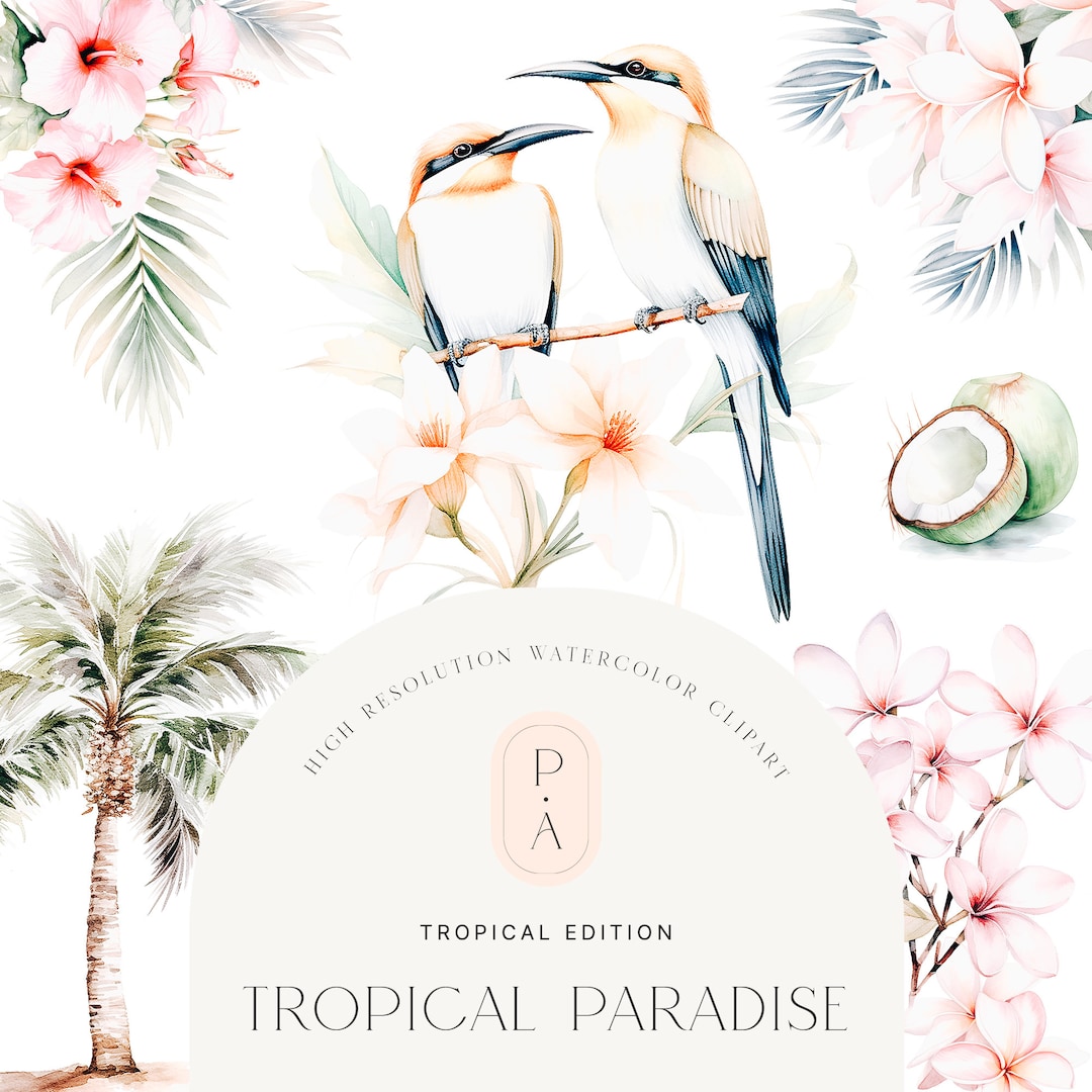 Watercolor Tropical Clipart - Tropical Clipart - Tropical Floral ...