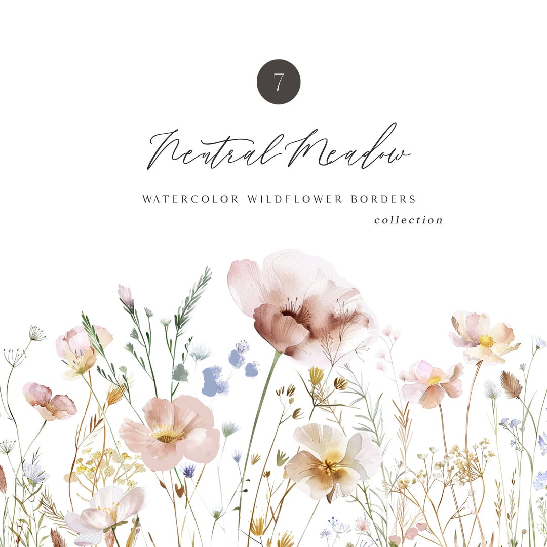 Neutral Wildflower Borders Clipart Wildflower Clipart Watercolor Neutral Wildflowers Wildflower ...