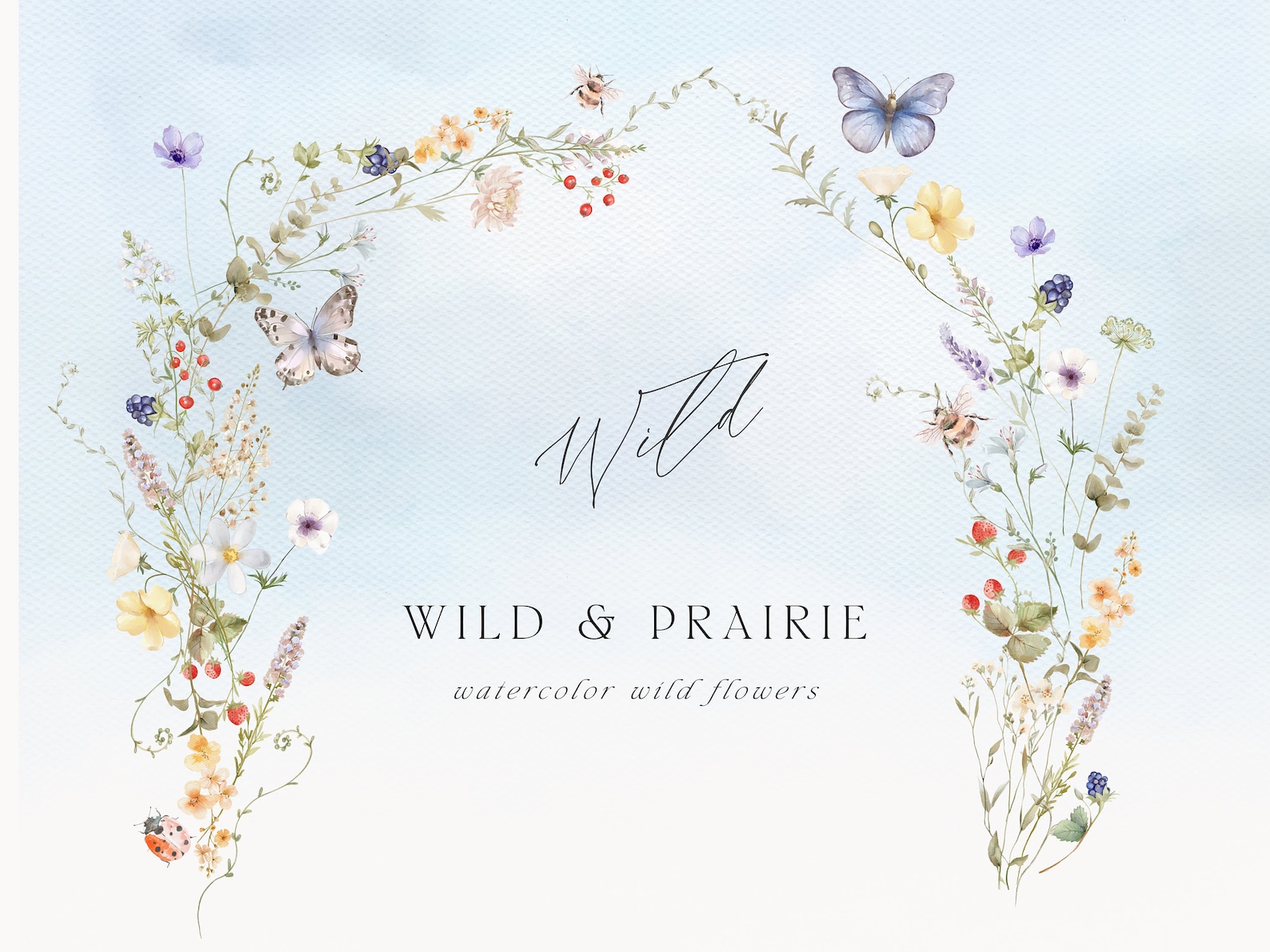 Watercolor Wild Summer Flowers and Berries Collection - Prairie Meadow ...