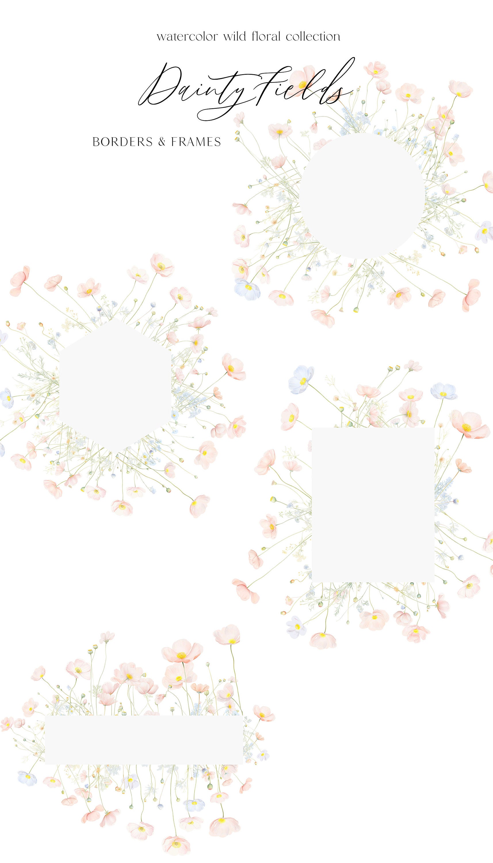 Blush Wild Flower Clipart Wild Flower Borders Dainty Wild Florals Wild ...