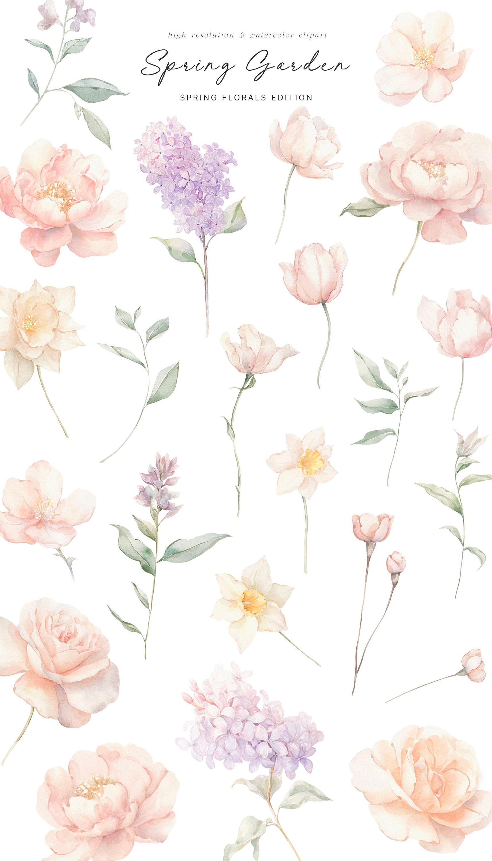Watercolor Spring Florals Clipart Floral Bouquets Arrangements Spring ...