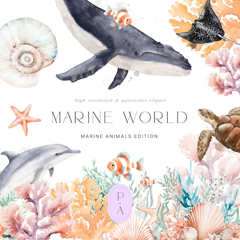 Sea Life Watercolor - Etsy