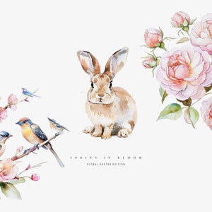 Watercolor Easter Clipart Set - Bunny Clipart - Spring Florals ...