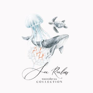 Watercolor Underwater Clipart Set - Sea Animals - Sea Creatures ...
