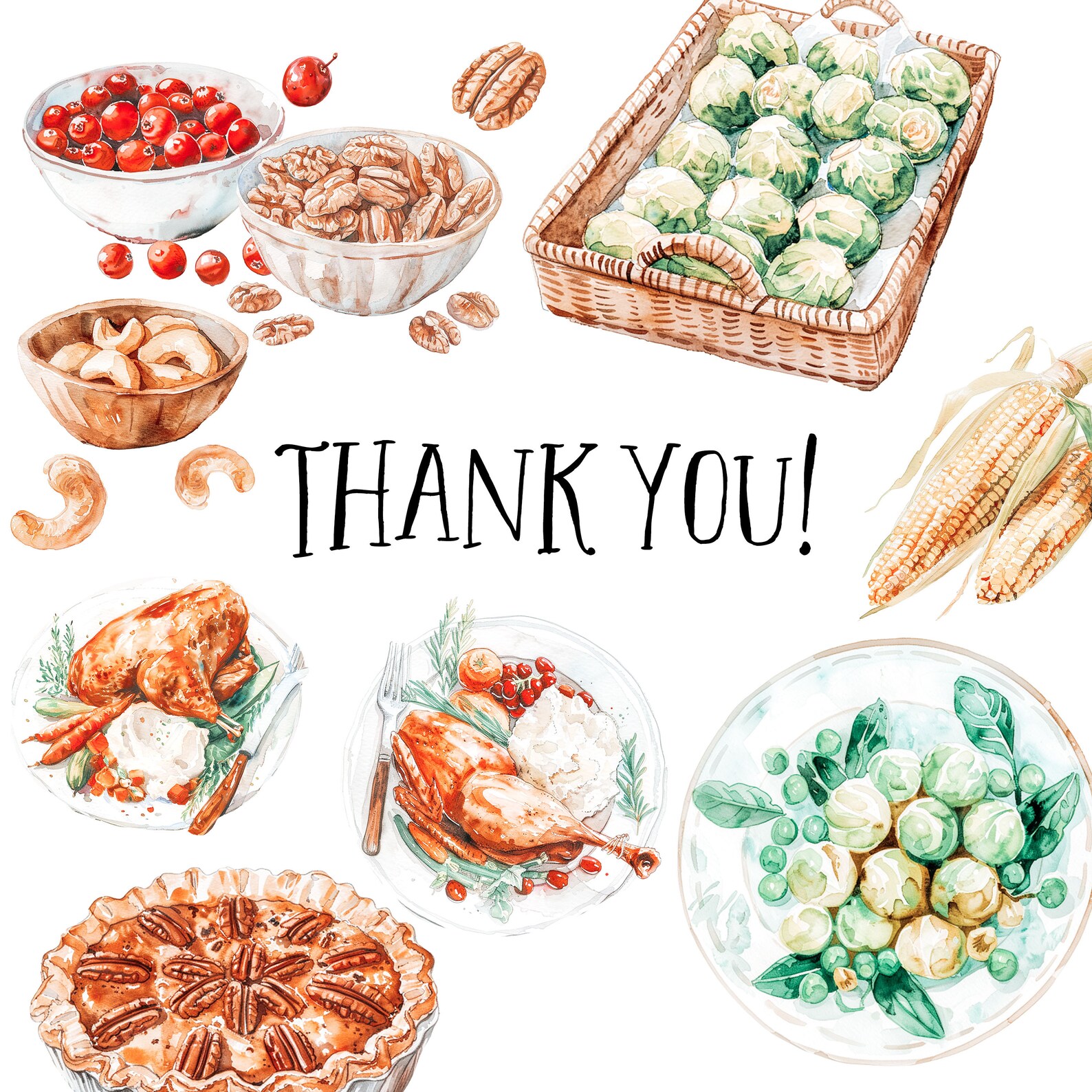 Thanksgiving Watercolor Clipart - Harvest Clipart - Turkey Clipart ...