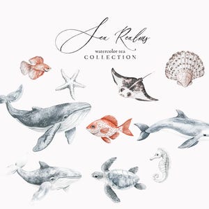 Watercolor Underwater Clipart Set - Sea Animals - Sea Creatures ...