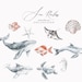 Watercolor Underwater Clipart Set - Sea Animals - Sea Creatures ...