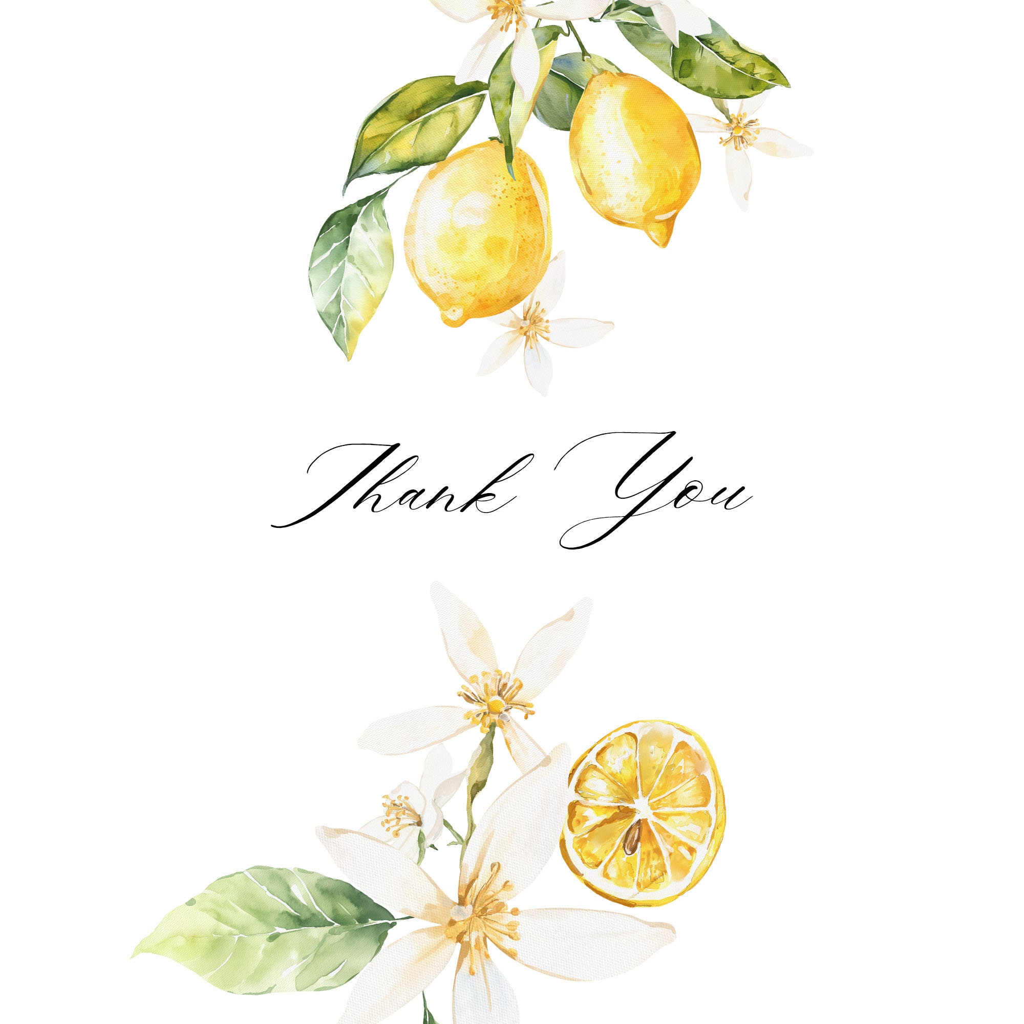 Lemon Blossom Clipart Lemon Clipart Set Floral Clipart Set Lemon ...