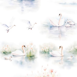 Watercolor Swans Clipart - Swans Clipart - Swans Floral Clipart ...