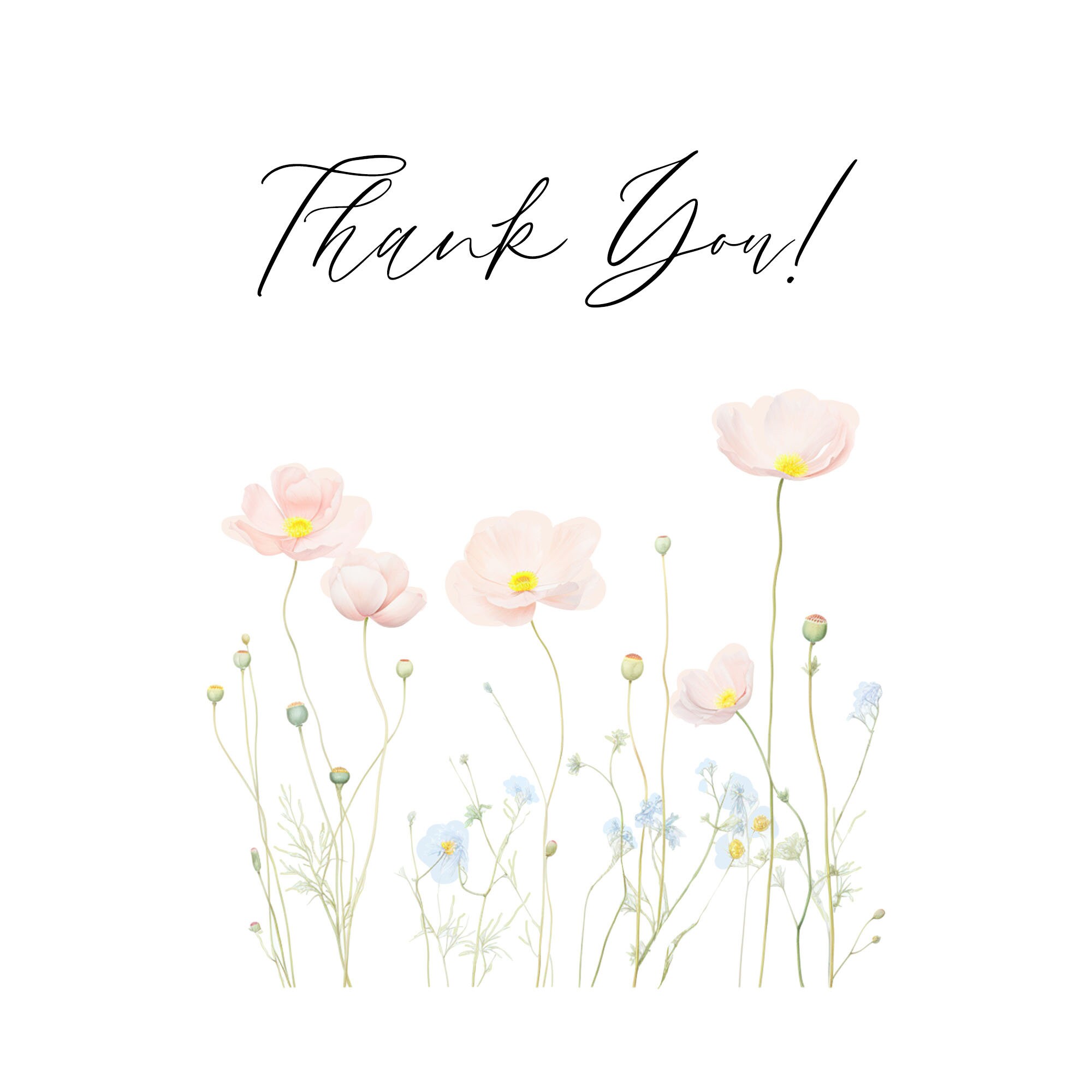 Blush Wild Flower Clipart Wild Flower Borders Dainty Wild Florals Wild ...