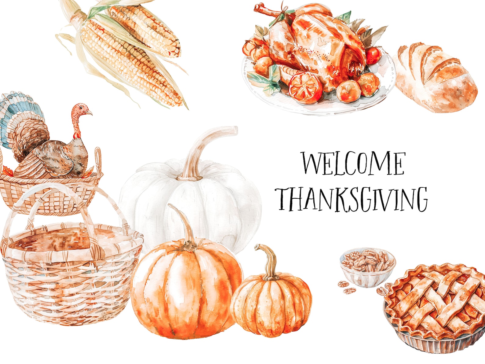 Thanksgiving Watercolor Clipart - Harvest Clipart - Turkey Clipart ...