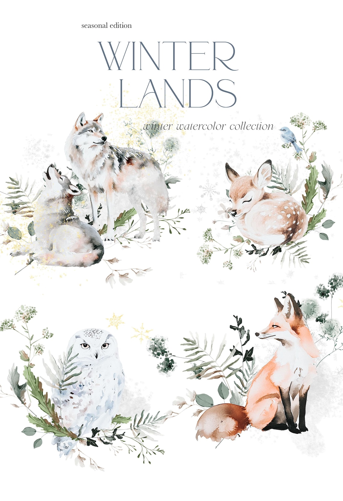 Winter Animals Clipart - Winter Collection - Plant Clipart ...
