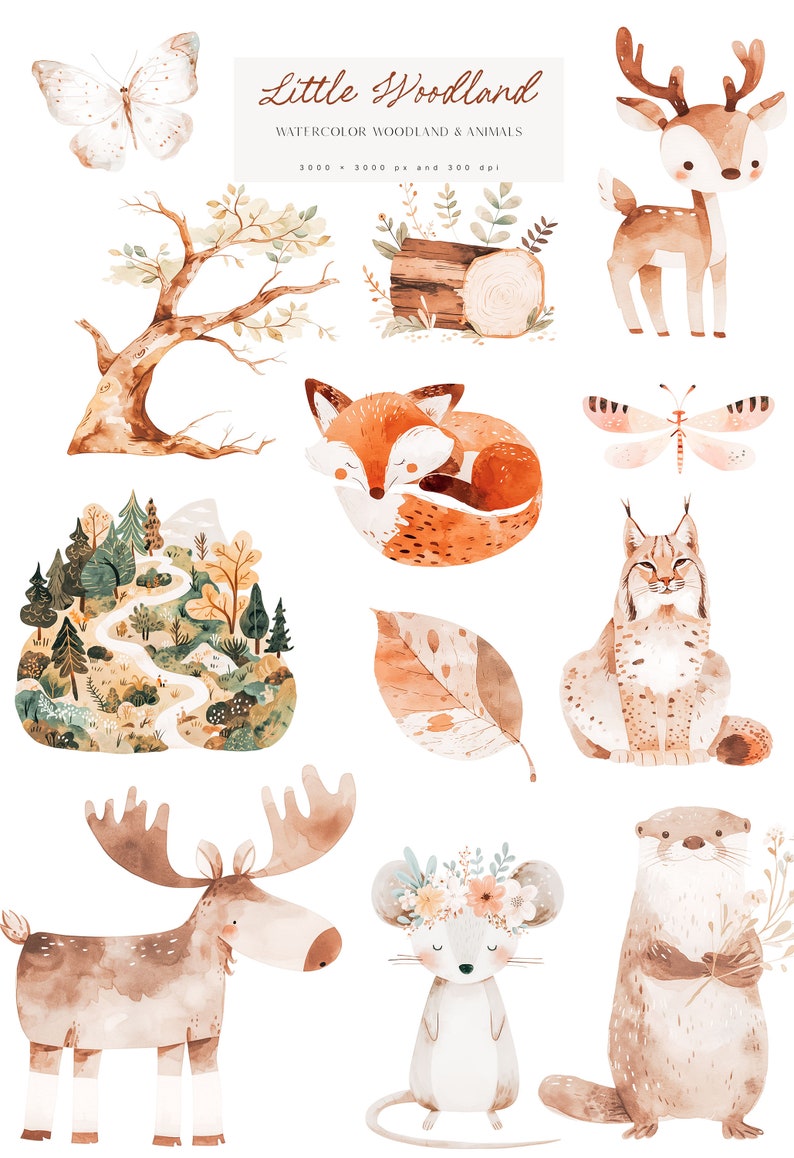Cute Watercolor Woodland Clipart Set Woodlands Clipart Woodland Animals ...
