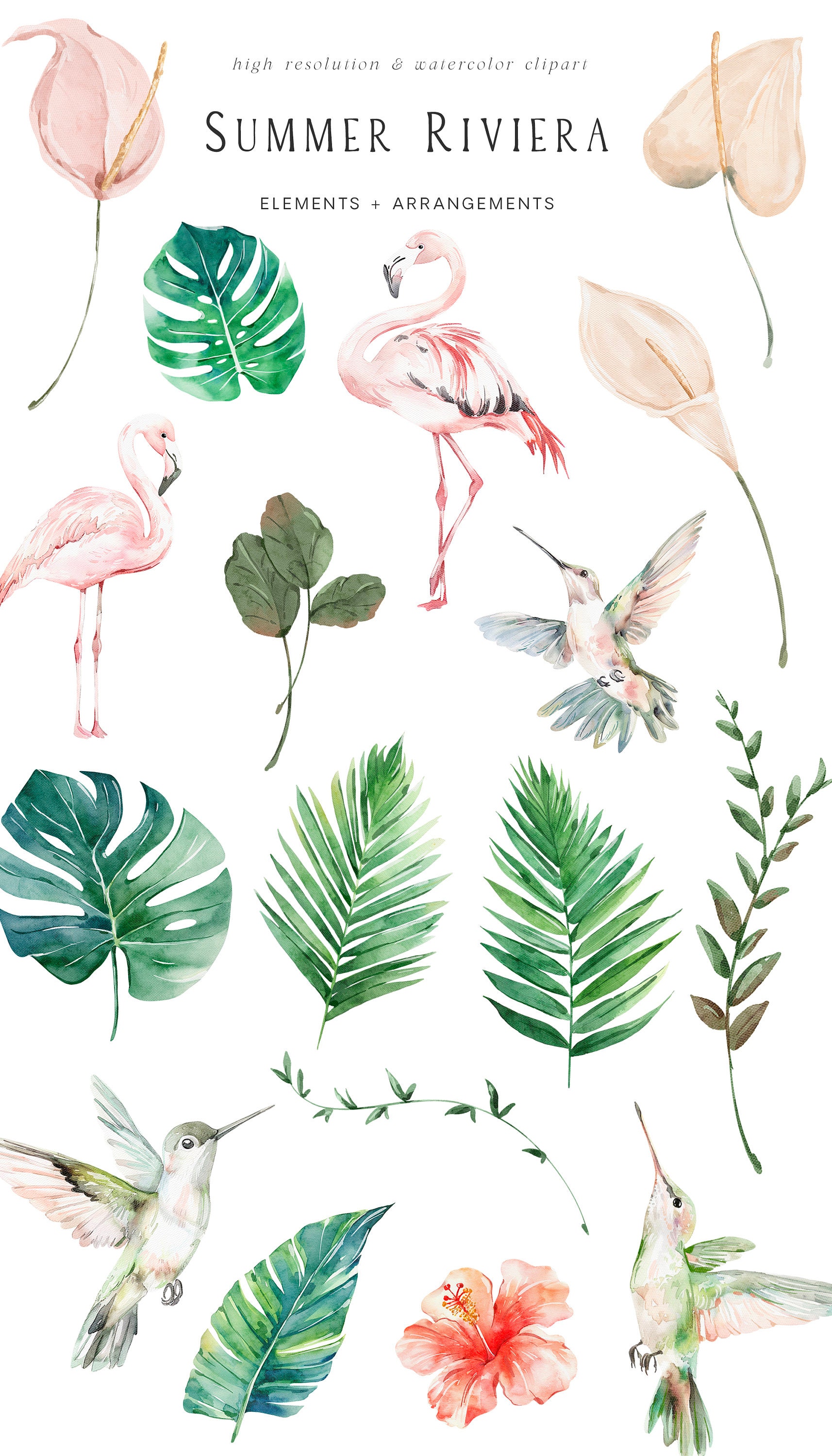 Tropical Summer Clipart - Watercolor Summer Clipart - Tropical Florals ...