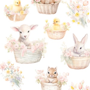 Watercolor Spring Baby Animals Clipart - Spring Florals - Watercolor ...
