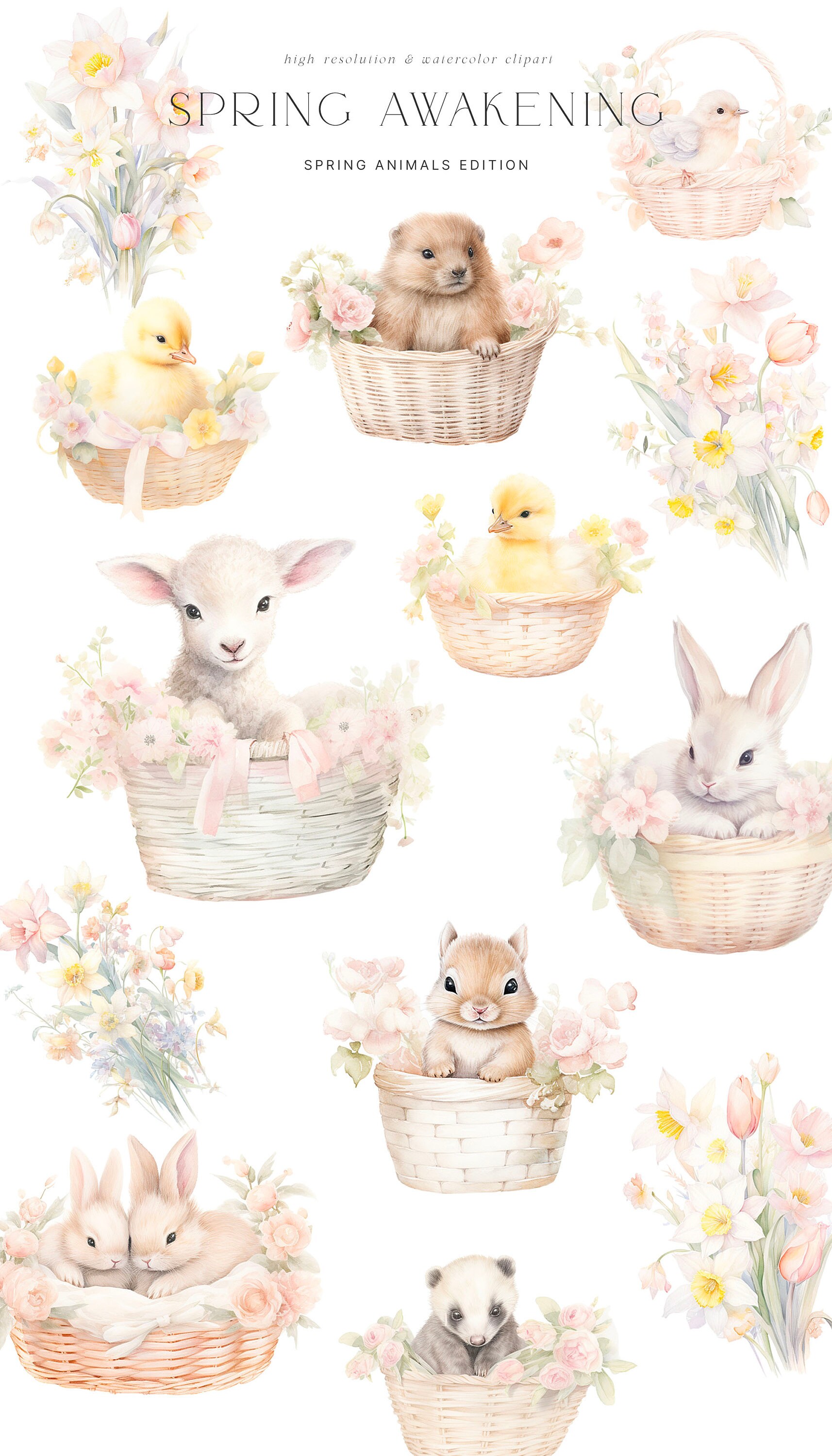 Watercolor Spring Baby Animals Clipart Spring Florals Watercolor Spring ...