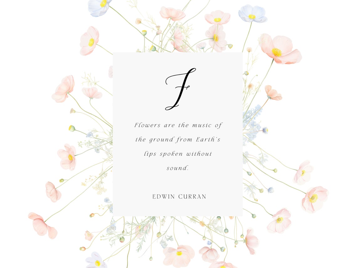 Blush Wild Flower Clipart - Wild Flower Borders - Dainty Wild Florals ...