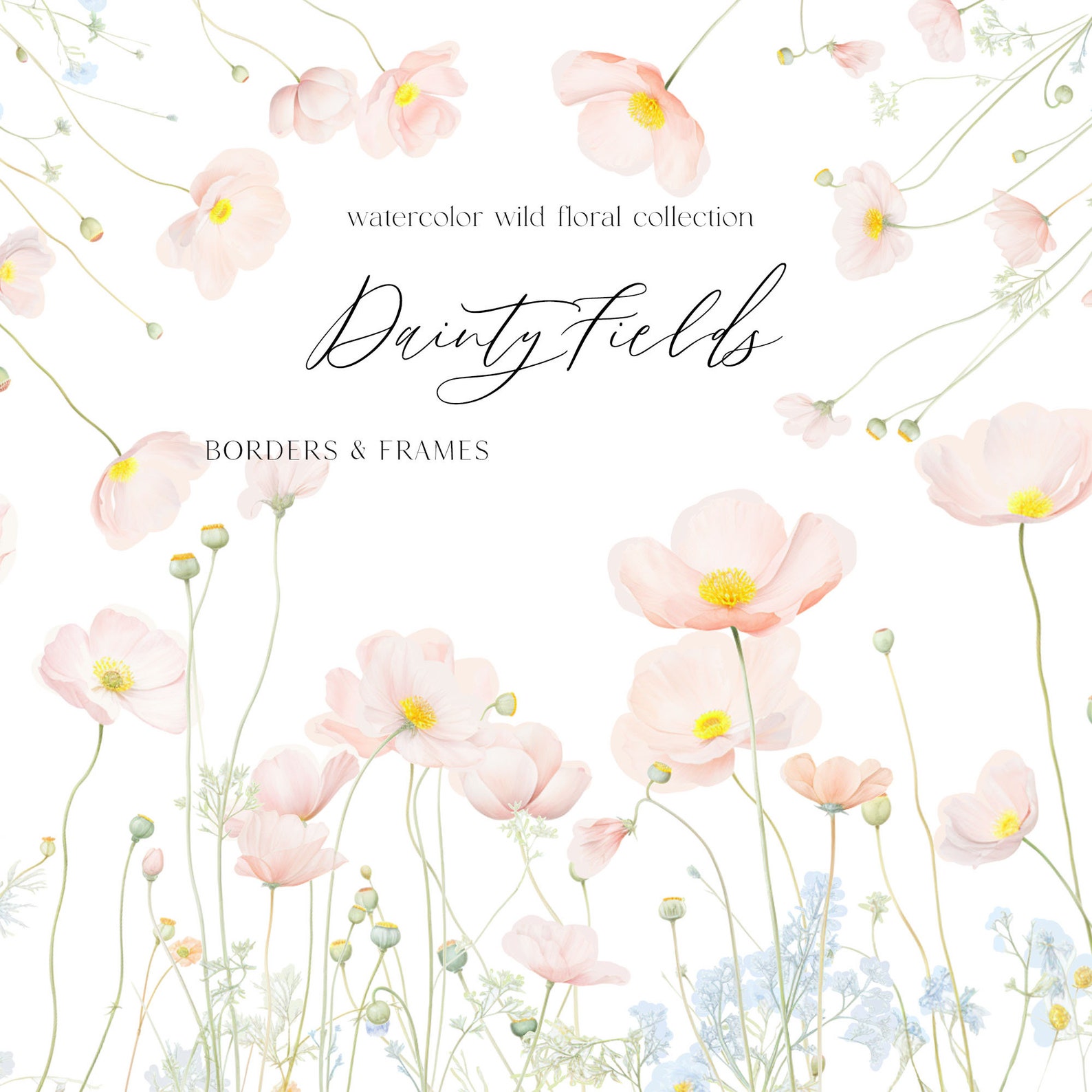 Blush Wild Flower Clipart - Wild Flower Borders - Dainty Wild Florals ...