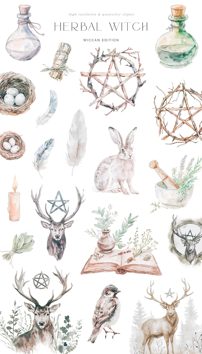 Watercolor Herbal Witch Clipart Mystical Clipart Ritual Clipart ...
