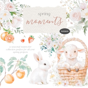 Spring Watercolor Clipart - Spring Animals - Spring Florals - Floral ...