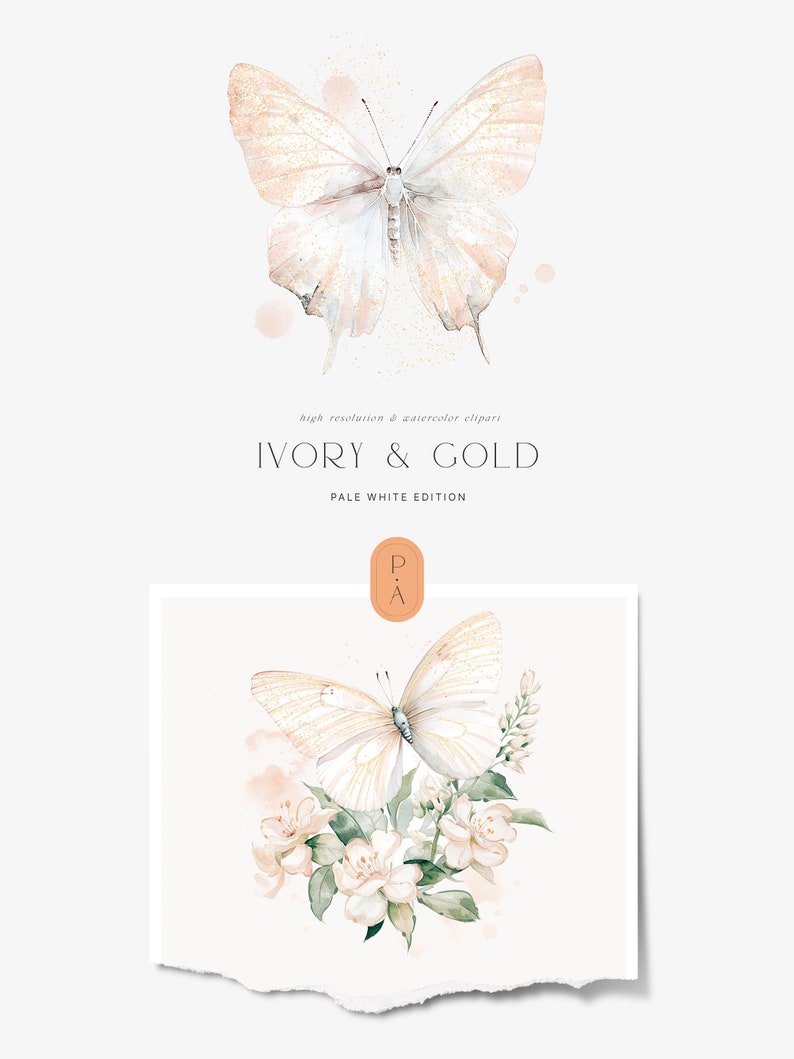 Watercolor Ivory White Gold Butterflies Clipart Stickers Clipart ...