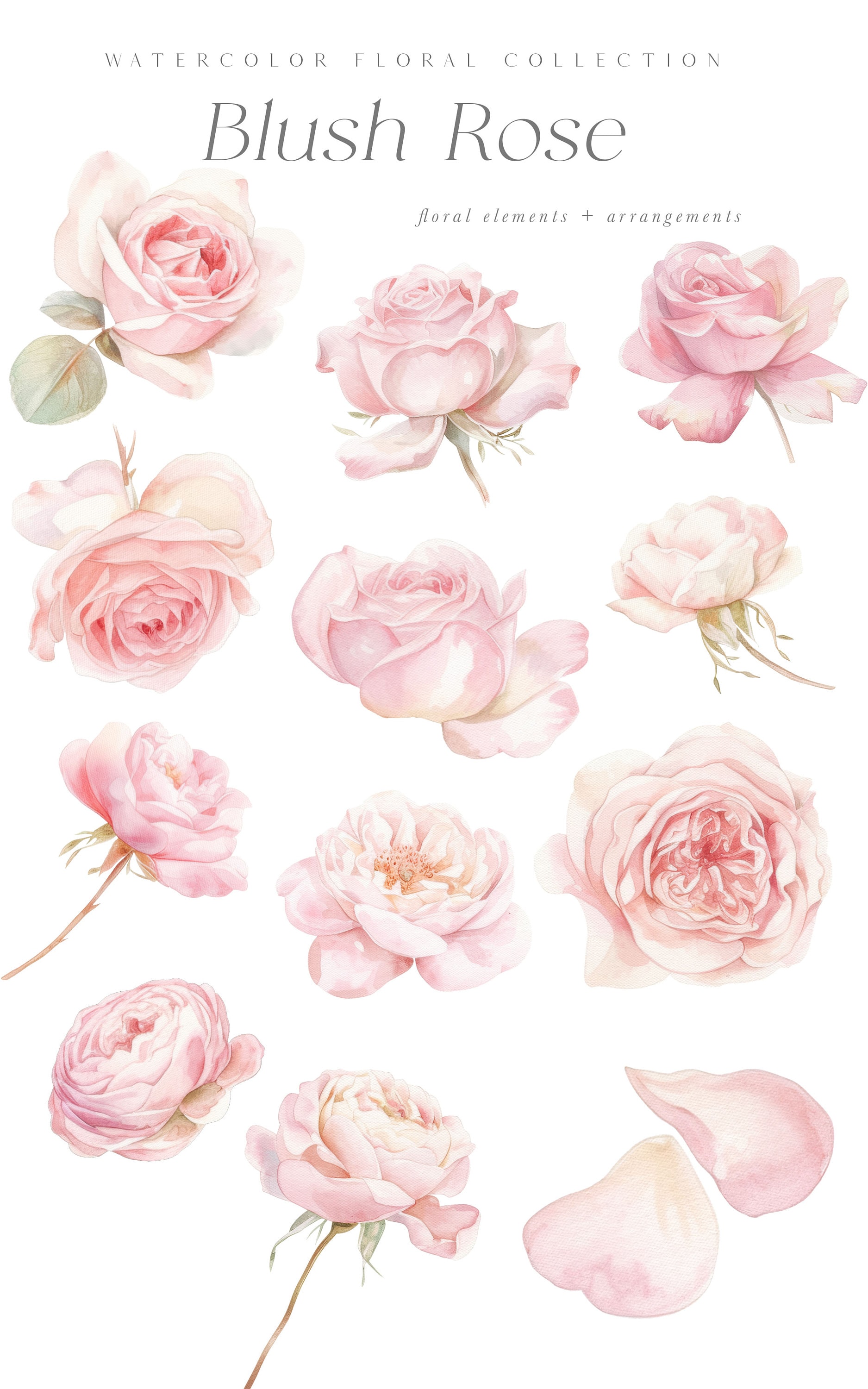 Blush Rose Clipart Set Rose Clipart Dusty Rose Watercolor Rose Bouquets ...