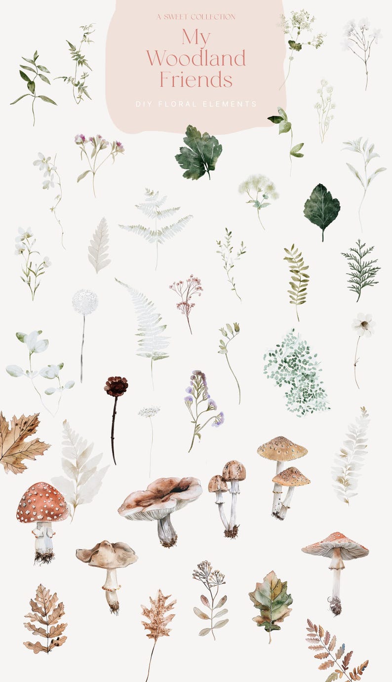 Watercolor Boho Woodland Animals Clipart Collection - Forest Animals ...