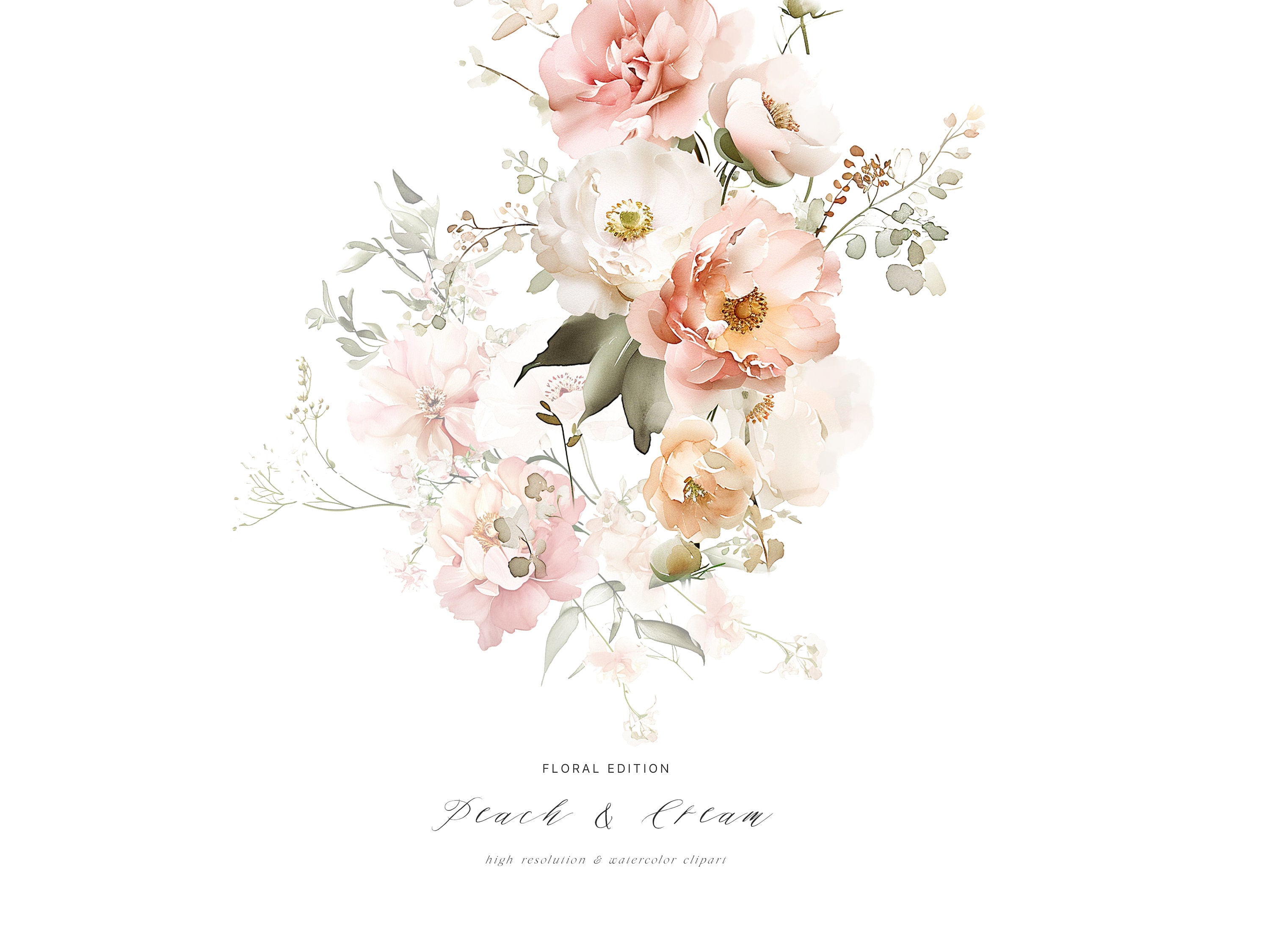 Peach and Cream Blush Watercolor Clipart Watercolor Flowers Roses ...