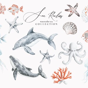 Watercolor Underwater Clipart Set - Sea Animals - Sea Creatures ...