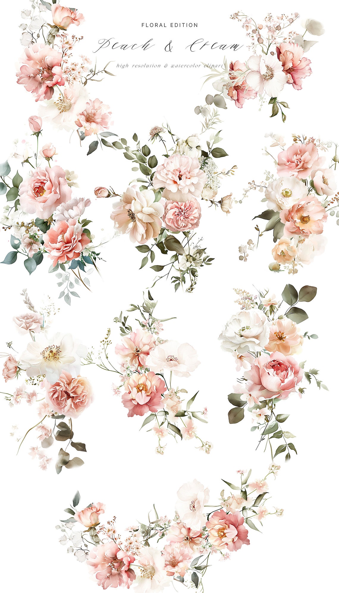 Peach and Cream Blush Watercolor Clipart Watercolor Flowers Roses ...