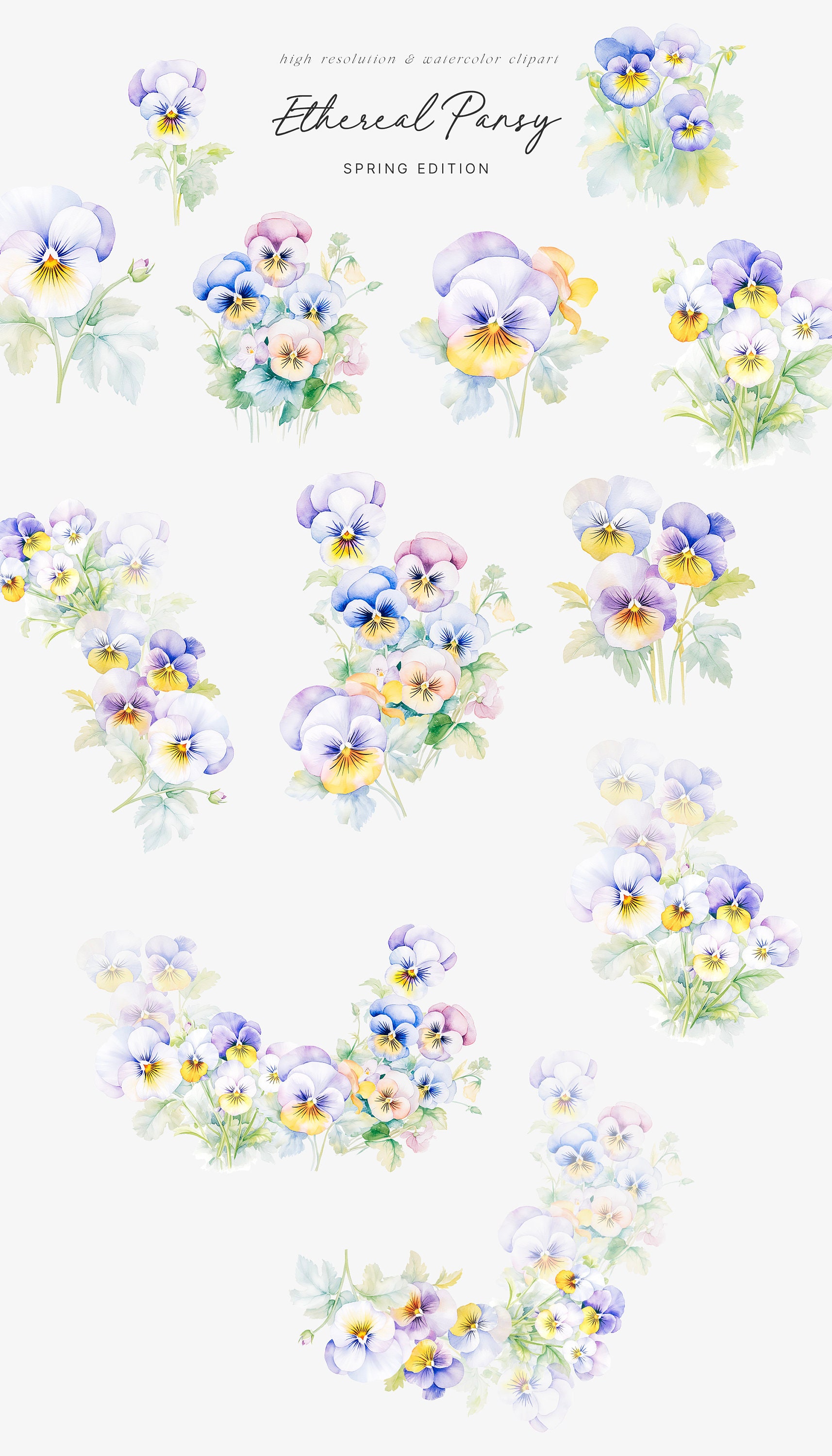 Pansy and Violets Watercolor Clipart Watercolor Pansy Violet Pansy ...