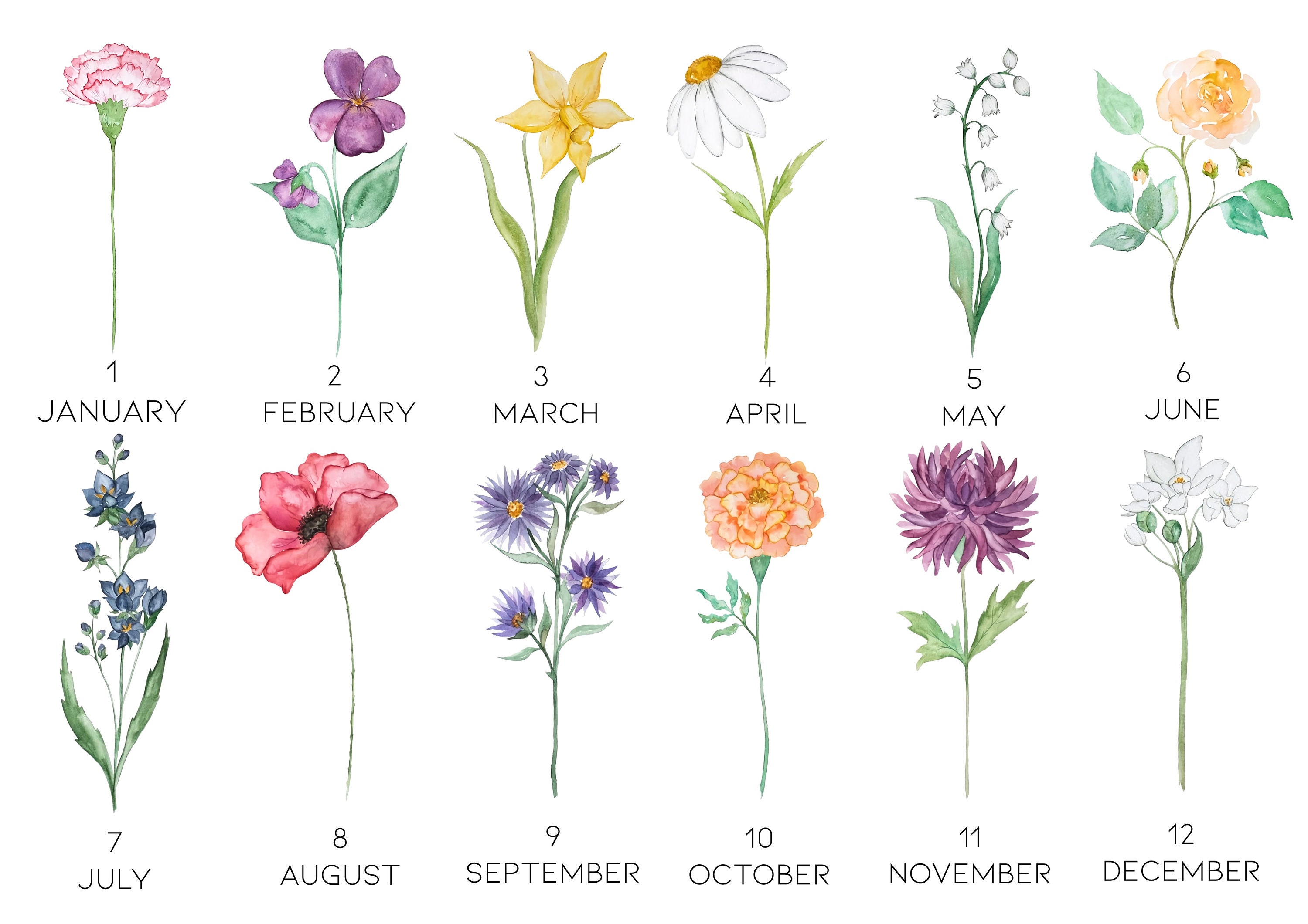 Beautiful ‘nanny’s Garden’ Print, PERSONALISED - Etsy