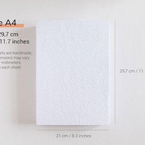 Bulk Handmade Plantable Seed Paper 300g Premium - Pack 10 Sheets A4 ...