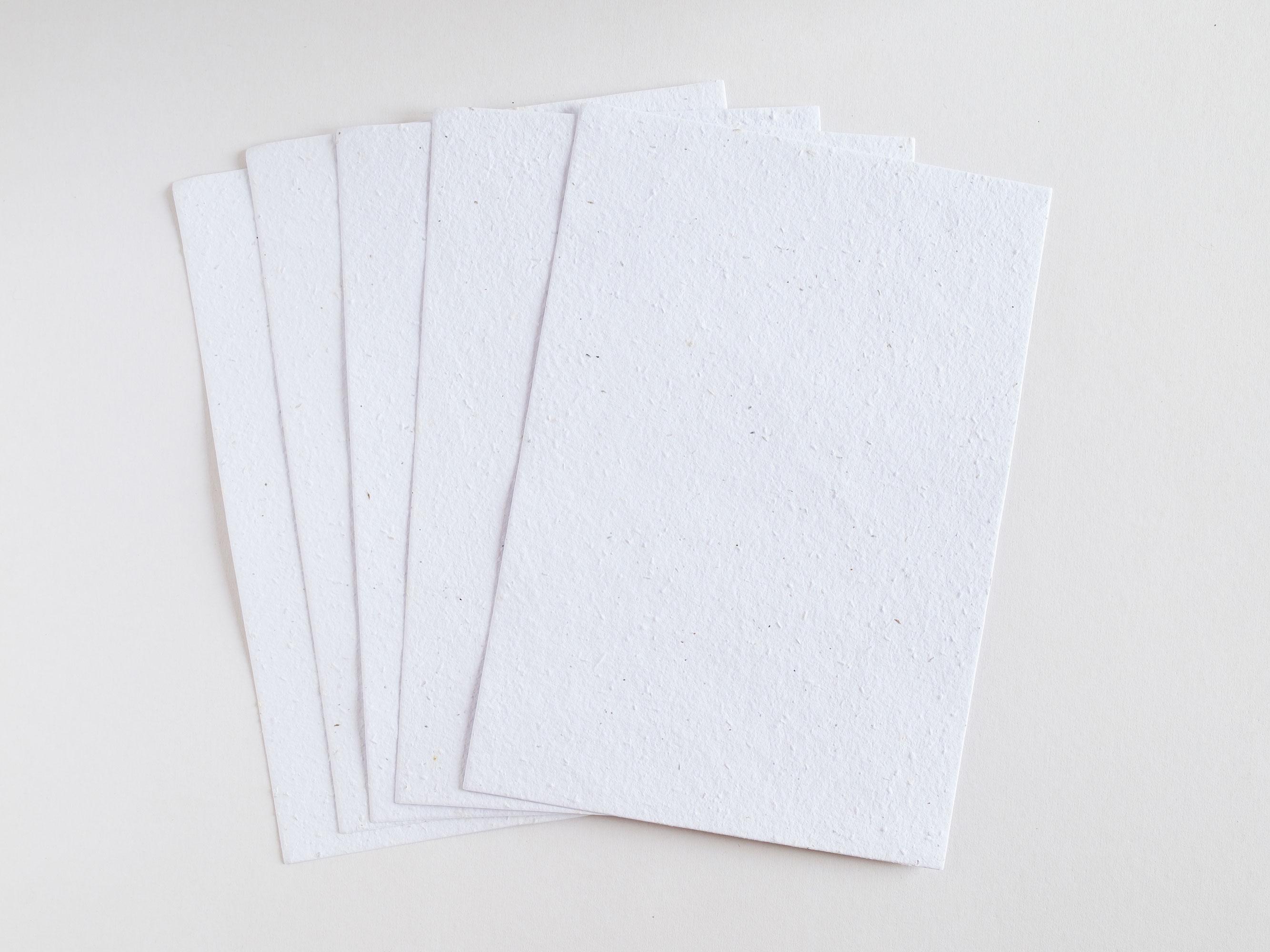 Bulk Handmade Plantable Seed Paper 300g Premium - Pack 10 Sheets A4 ...