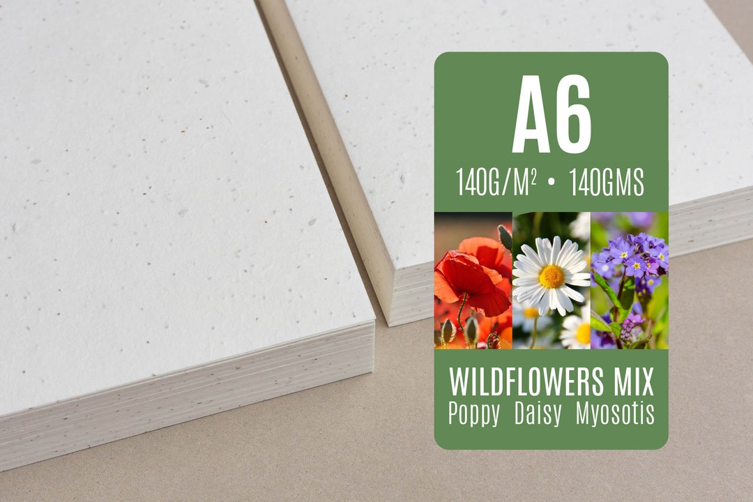 Seed Paper A6 Wildflower Mix Poppy Daisy Myosotis Bulk of Blank ...