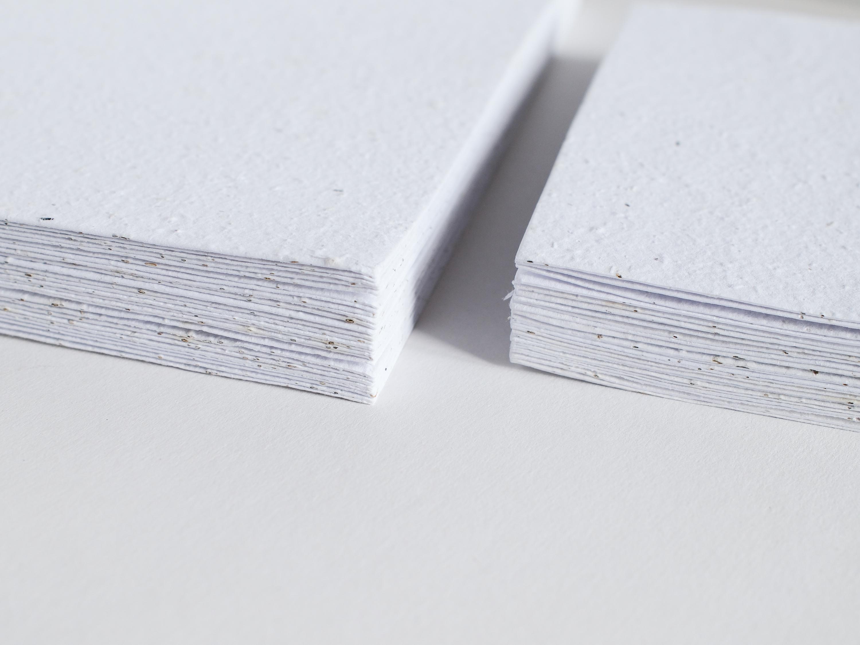 Bulk Handmade Plantable Seed Paper 300g Premium - Pack 10 Sheets A4 ...