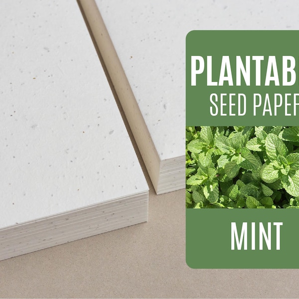 Mint Paper - Etsy