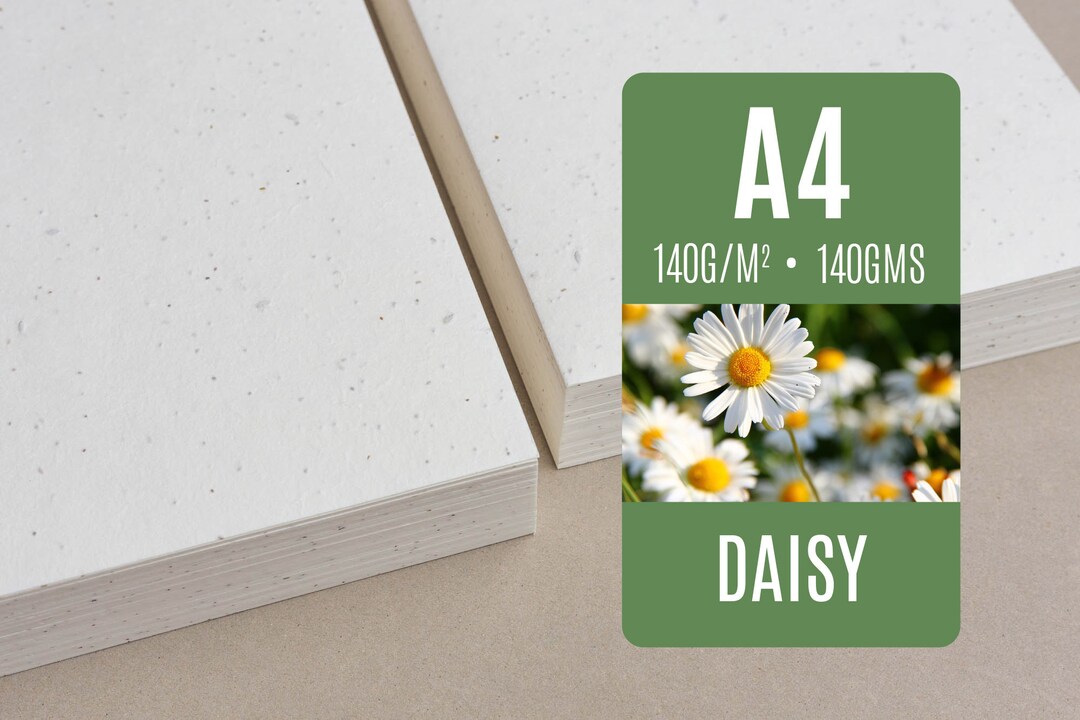 A4 Seeded Paper Daisy Lot of Seed Paper Sheets to Plant Wholesale - Etsy