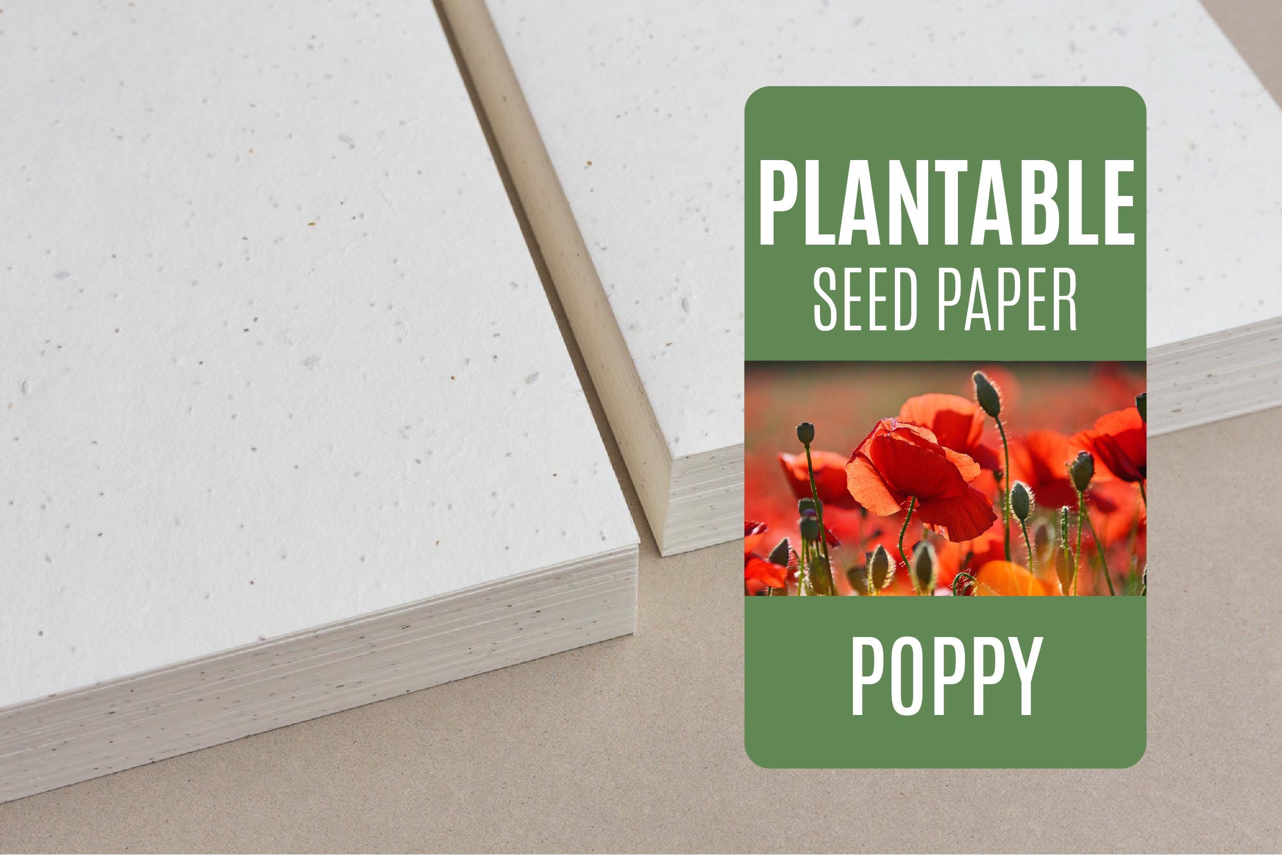 Seed Paper Poppy - Bulk of Blank Plantable Seeded Paper Sheets ...