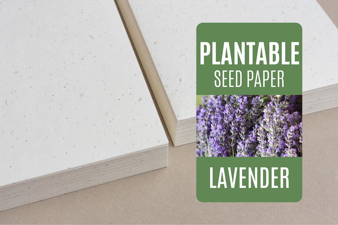 Seed Paper Lavender - Bulk of Blank Plantable Seeded Paper Sheets ...